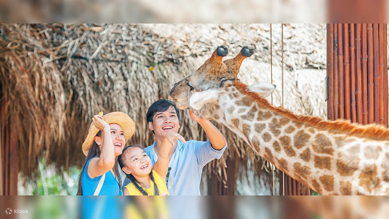 富國島六天五夜 | 橘子貓TTtrips